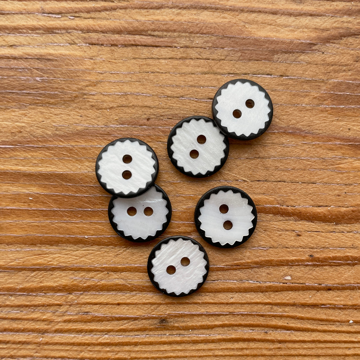 Shell Buttons - Glossy Scallop Edge – EWE fine fiber goods